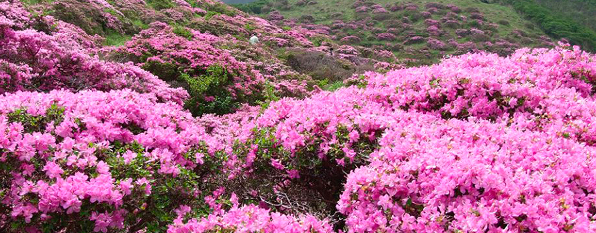 Milke Danda: Fall in love with the amazingly beautiful landscape